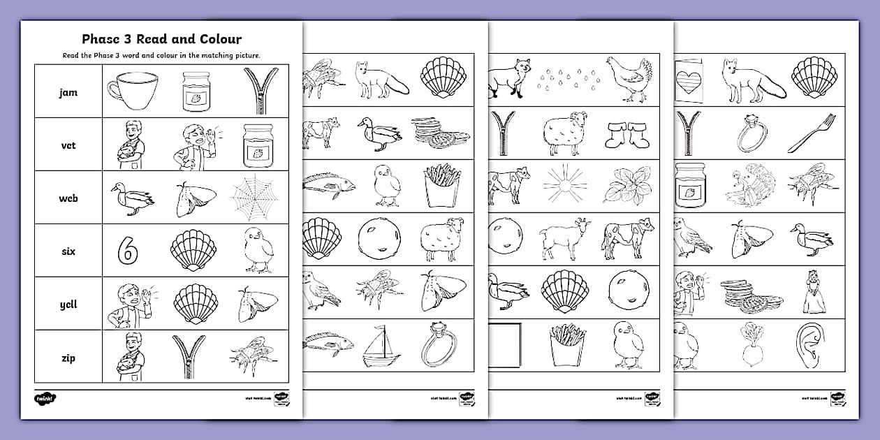 Phase 3 Read and Colour Activity Sheet Pack (teacher made)