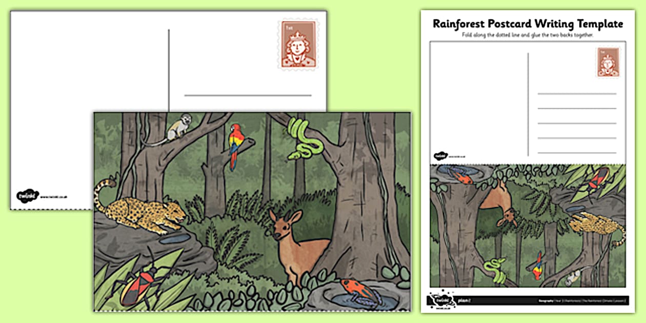 Editable Rainforest Postcard Writing Template - Twinkl