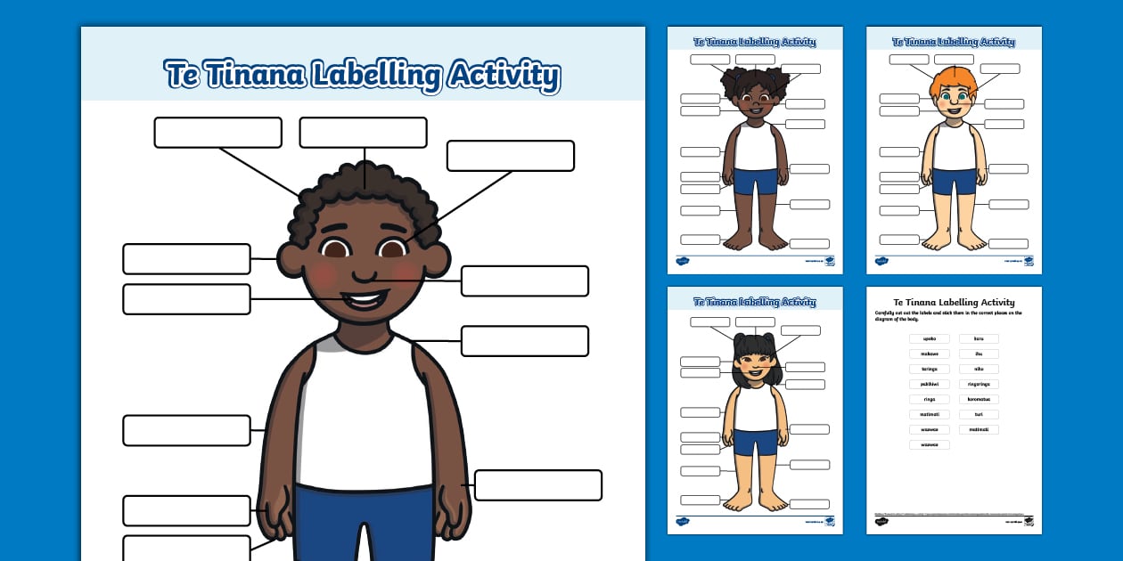 Māori Body Parts Worksheet | Twinkl Te Reo Anatomy Resource