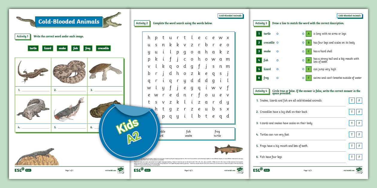 ESL Cold-Blooded Animals Activity Sheet (teacher made)