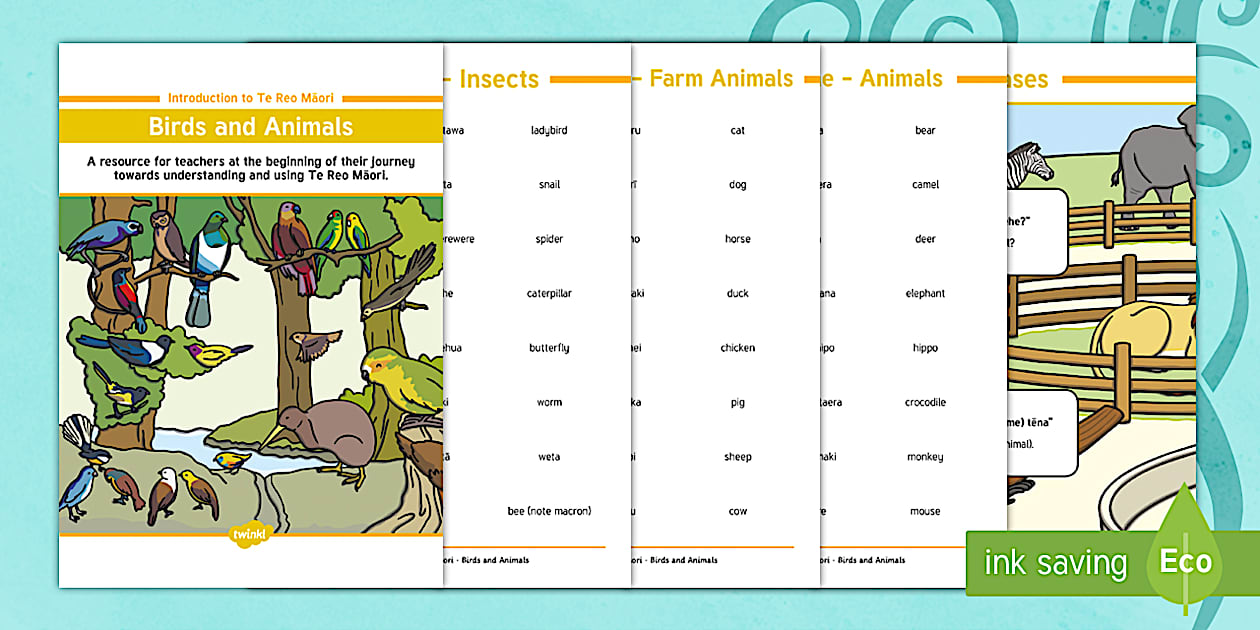 Introduction to Te Reo Māori: Birds and Animals Booklet
