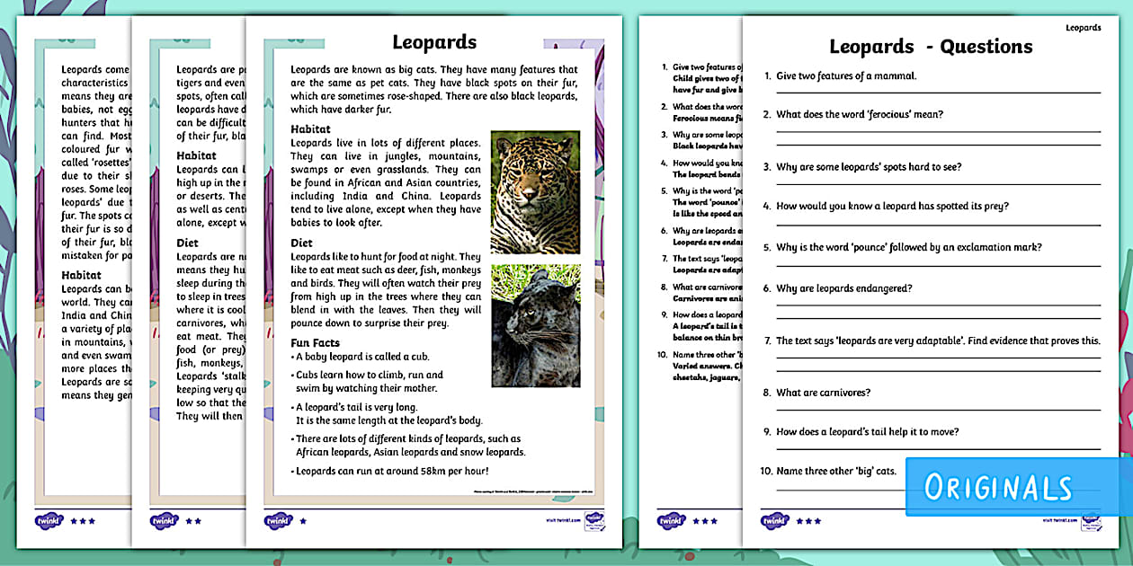 First Level Leopards Differentiated Reading Comprehension Activity