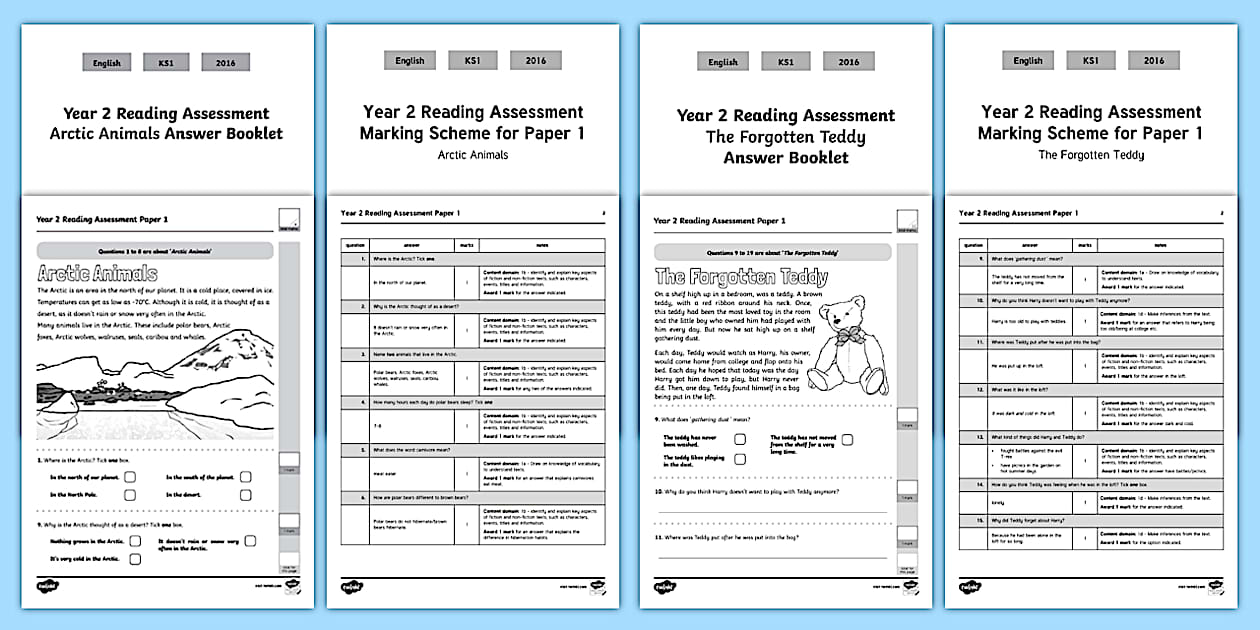 Year 2 Reading Assessment Term 3 Paper 1 (teacher made)