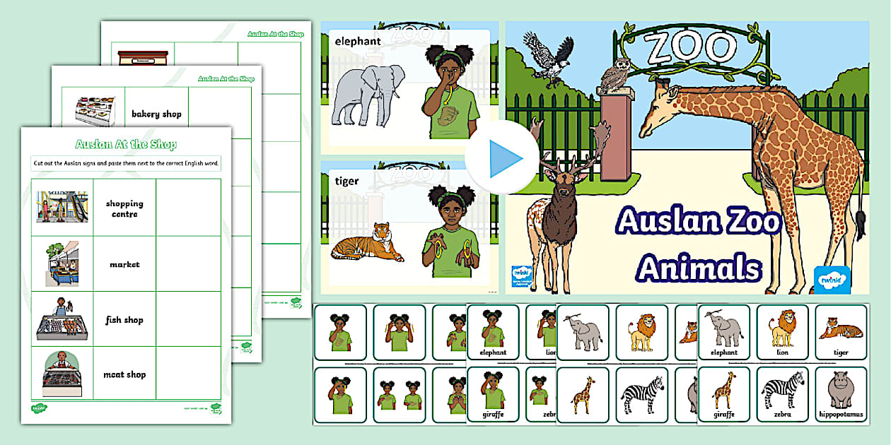Auslan Zoo Animal Pack (teacher made) - Twinkl
