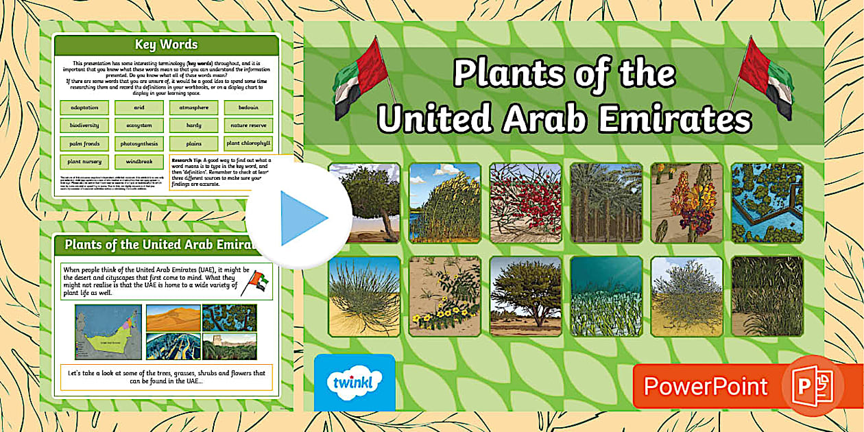 UAE Plants - PowerPoint Presentation (teacher made) - Twinkl