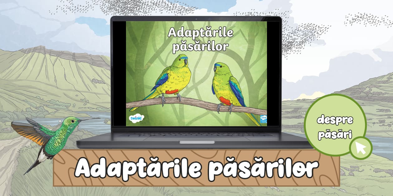 Adaptările păsărilor – Prezentare PowerPoint