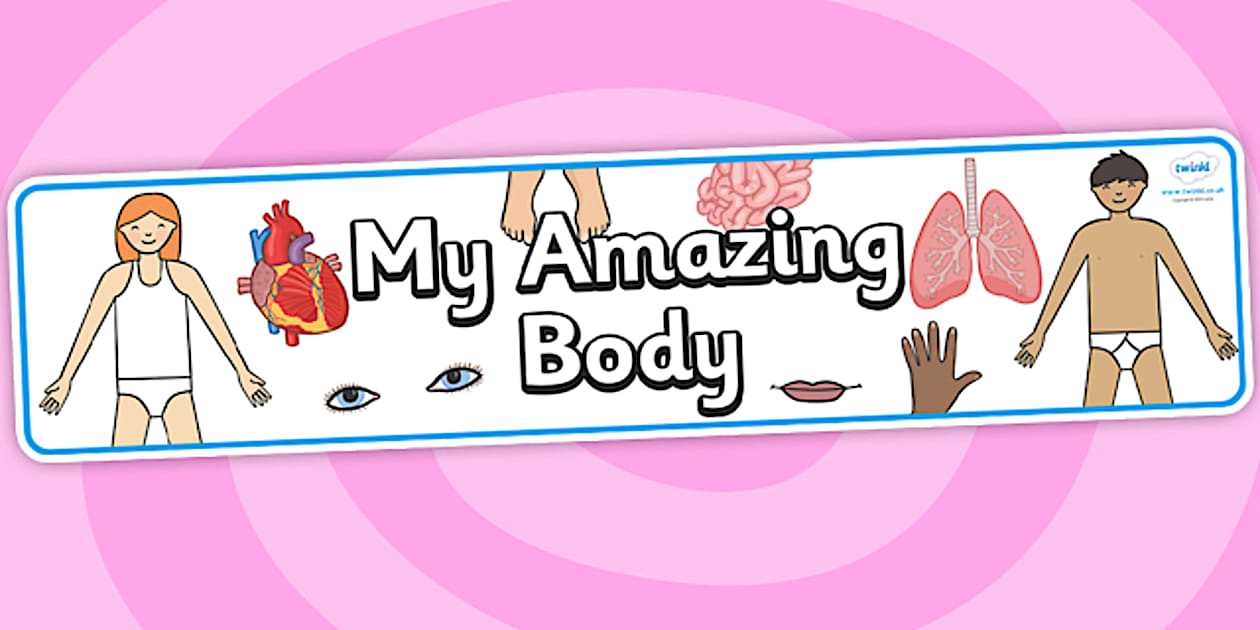 My Amazing Body Display Banner (teacher made) - Twinkl