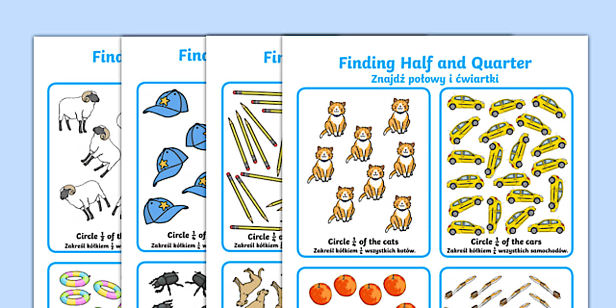 Finding Half and Quarter Worksheet / Worksheet Polish Translation