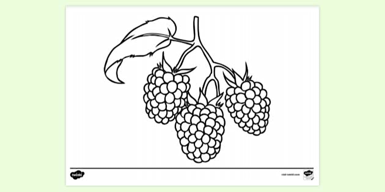 Raspberries Colouring Sheet (Teacher-Made) - Twinkl