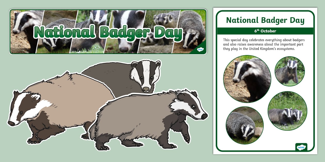 National Badger Day Display Pack - Twinkl - KS1 - Twinkl