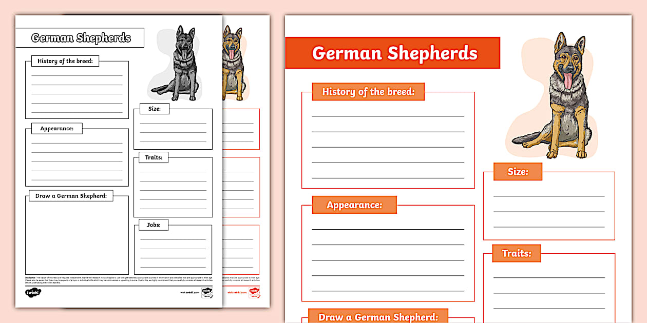 German Shepherd Fact File Template (teacher made) - Twinkl