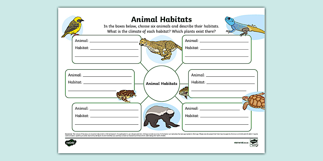 Animal Habitats Mind Map (teacher made) - Twinkl
