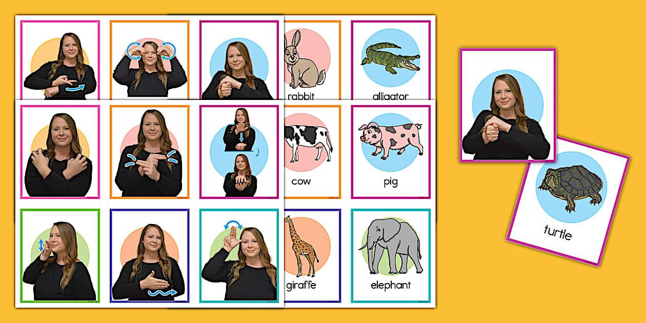 ASL Animals Matching Cards (teacher made) - Twinkl