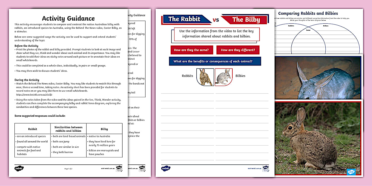 The Rabbit vs The Bilby Venn Diagram Activity - Twinkl