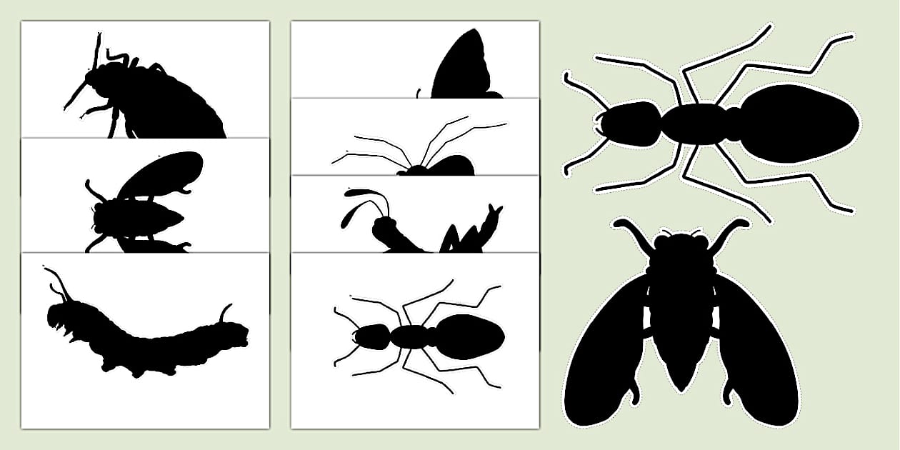 Minibeast Silhouette Cut-Outs (teacher made) - Twinkl