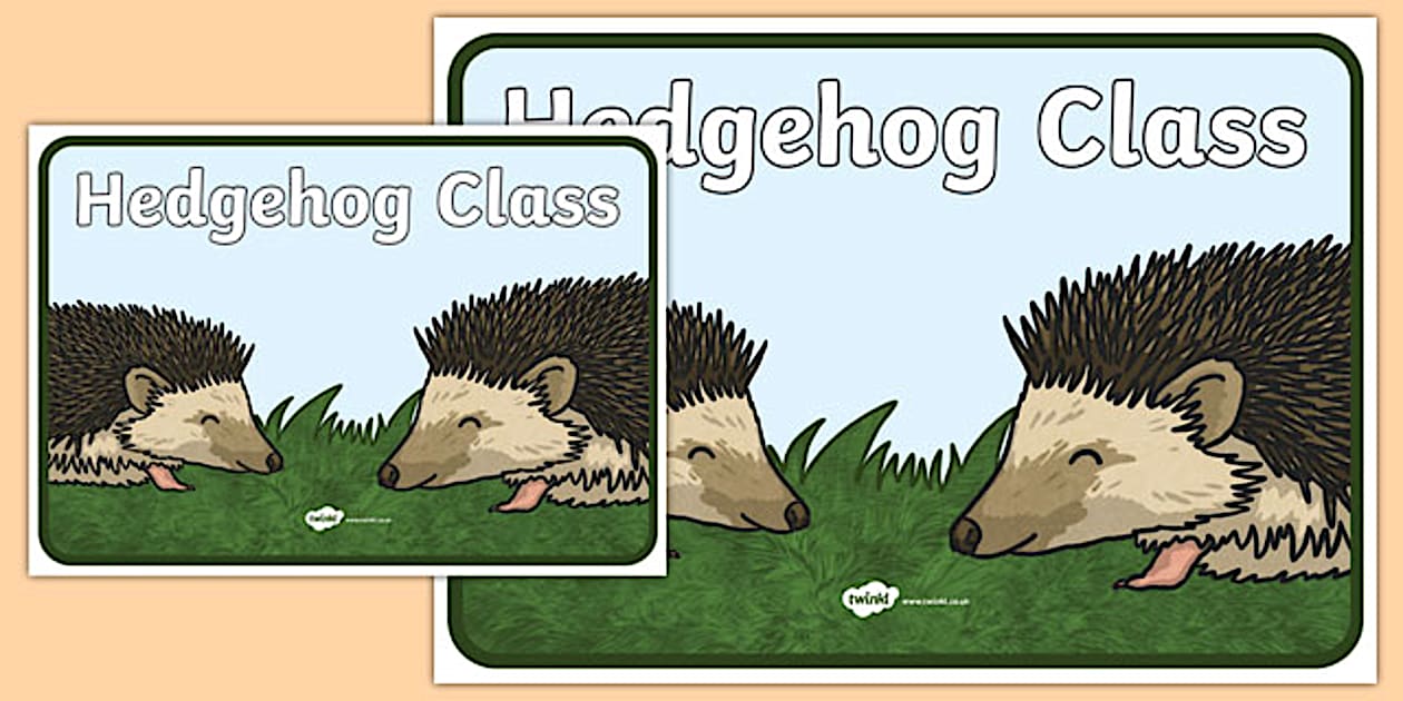 Editable Hedgehog Class Display Poster (teacher made)