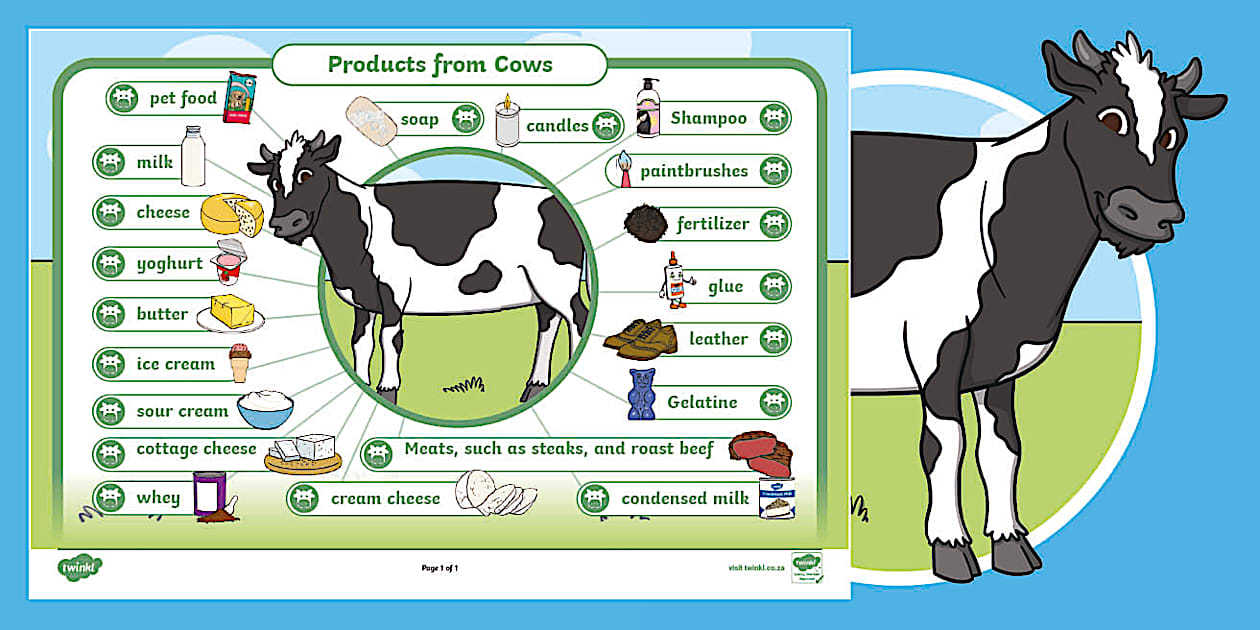 Products from Cows - Poster (teacher made) - Twinkl