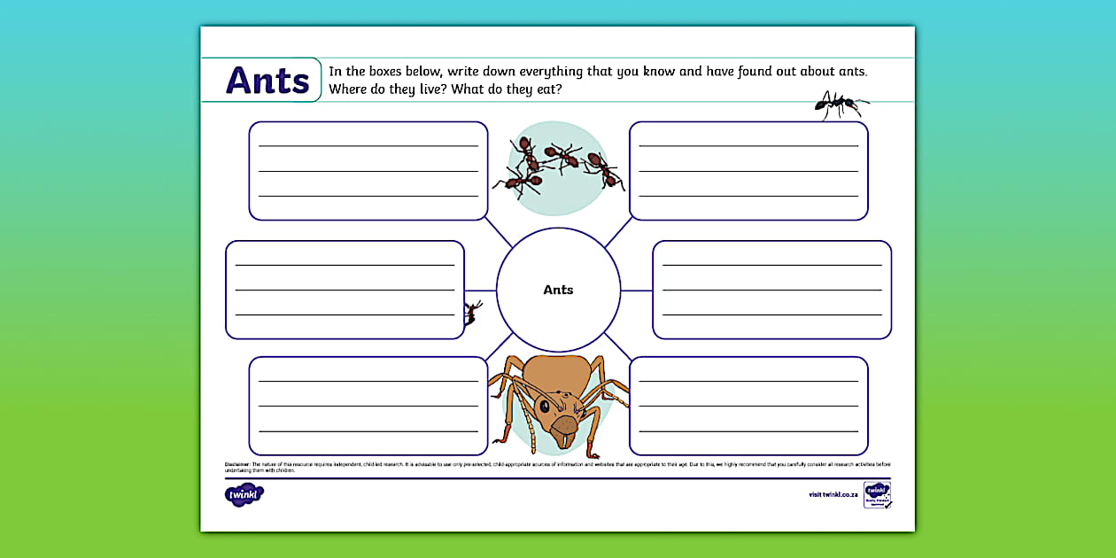Ants Mind Map (teacher made) - Twinkl