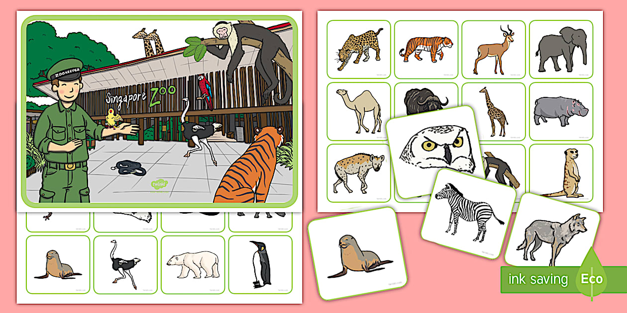 Editable Zoo Memory Game (teacher made) - Twinkl
