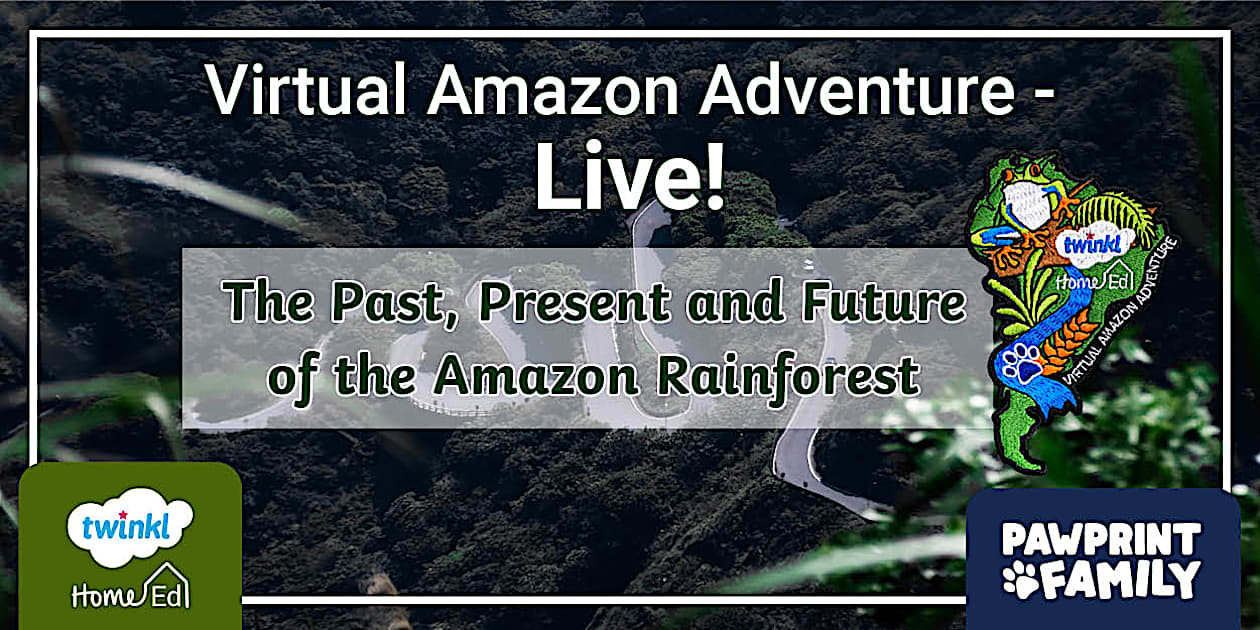 Past, Present & Future of the Amazon Rainforest | Home Ed