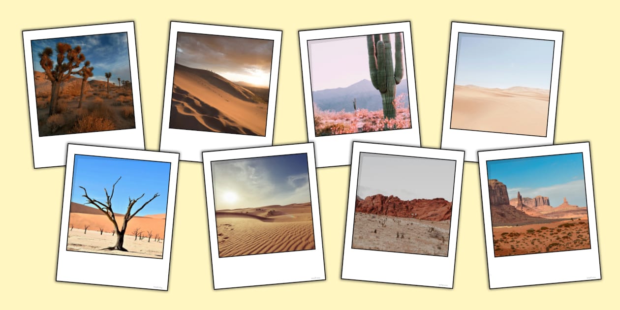 Desert Habitats Instant Photo Style Display Images - Twinkl
