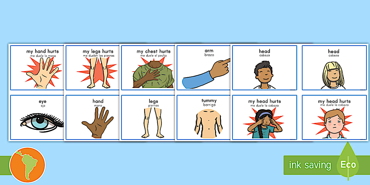 Parts Of The Body Communication Cards English/Spanish