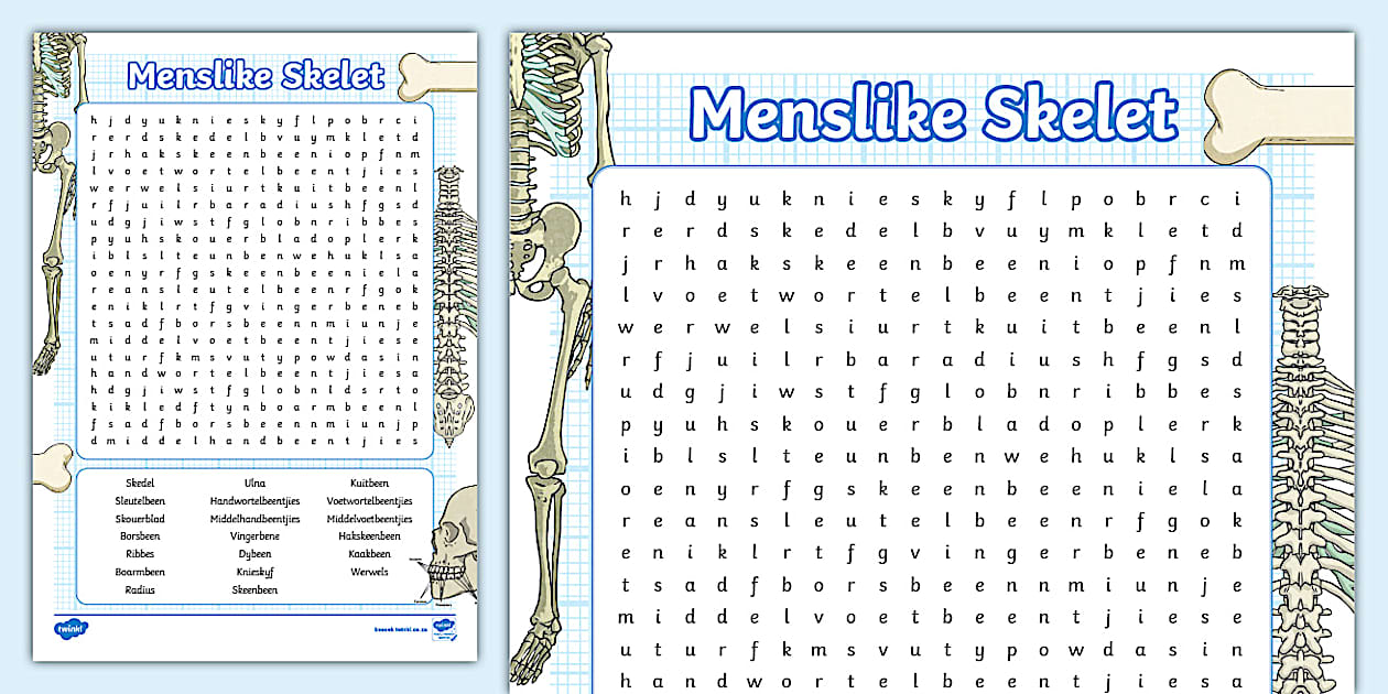 Menslike Skelet Woordsoek (teacher made) - Twinkl