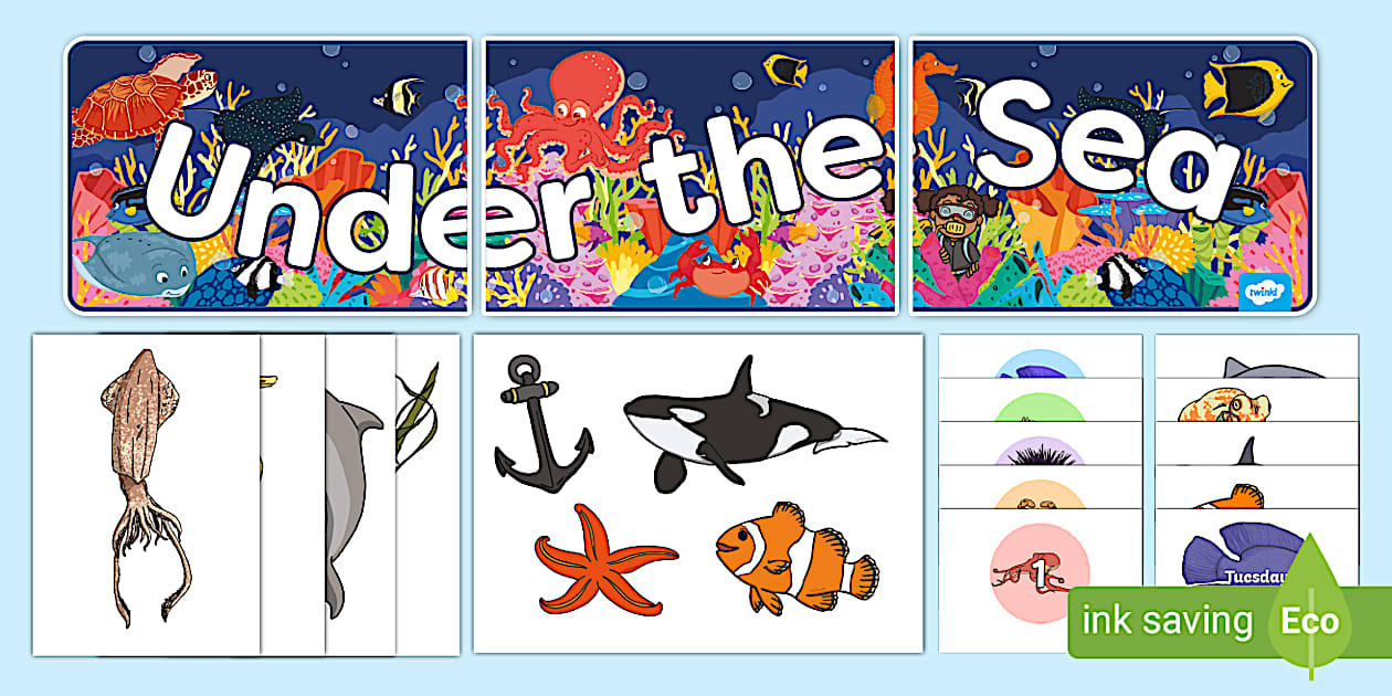 Sea Life Display Pack - KS1 - Kindergarten - Under the Sea - Twinkl