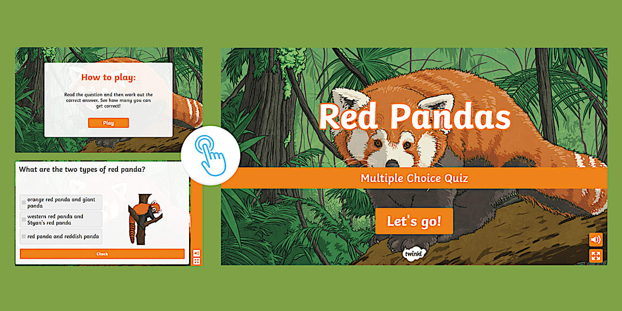Red Panda Multiple Choice Quiz (teacher made) - Twinkl