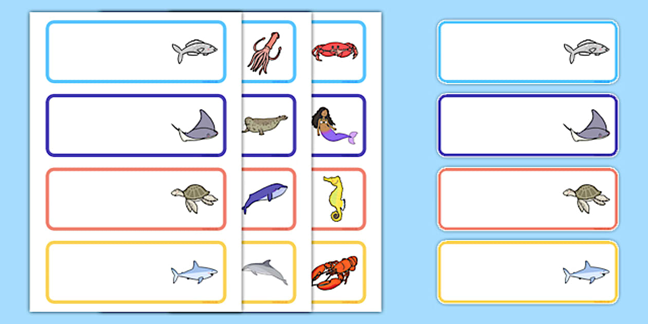 The Little Fish Editable Drawer Peg Name Labels - Twinkl
