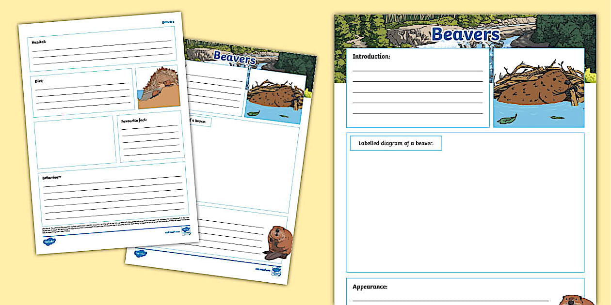Beavers Non-Chronological Report Template