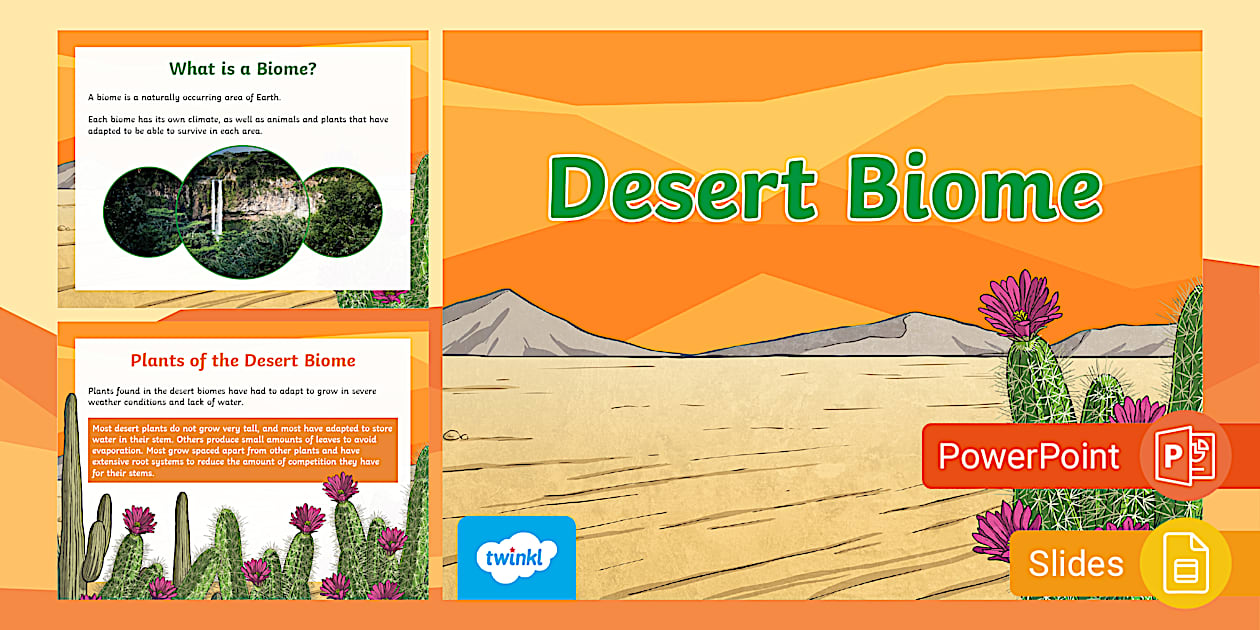 Desert Biome PowerPoint & Google Slides - Twinkl