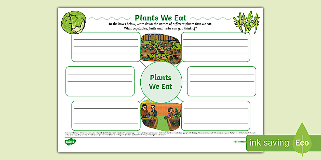 Plants We Eat Mind Map (teacher made) - Twinkl