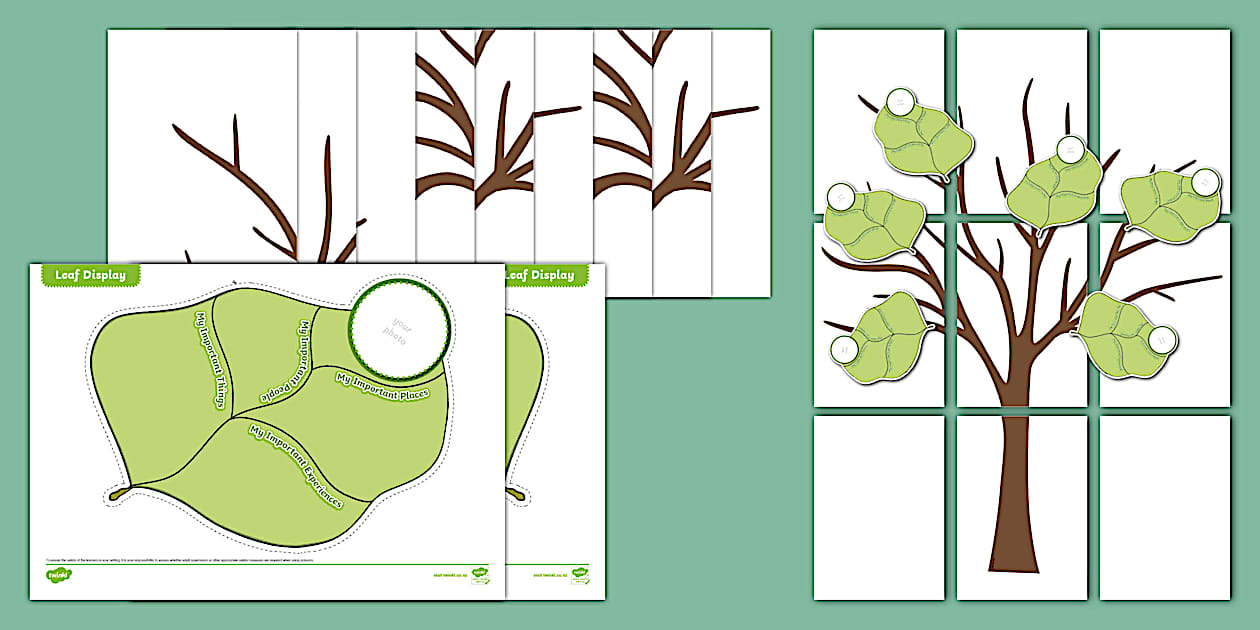 All About Me - Leaf Display Template (teacher made) - Twinkl