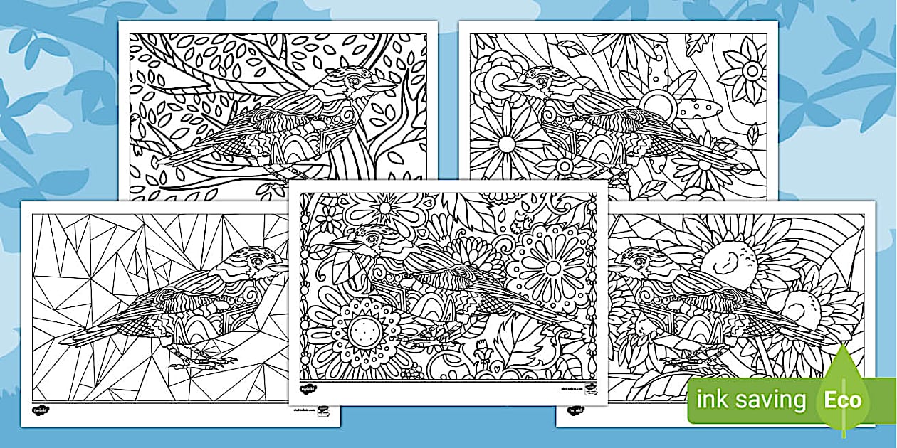 Jay Mindfulness Colouring Activity (teacher made) - Twinkl