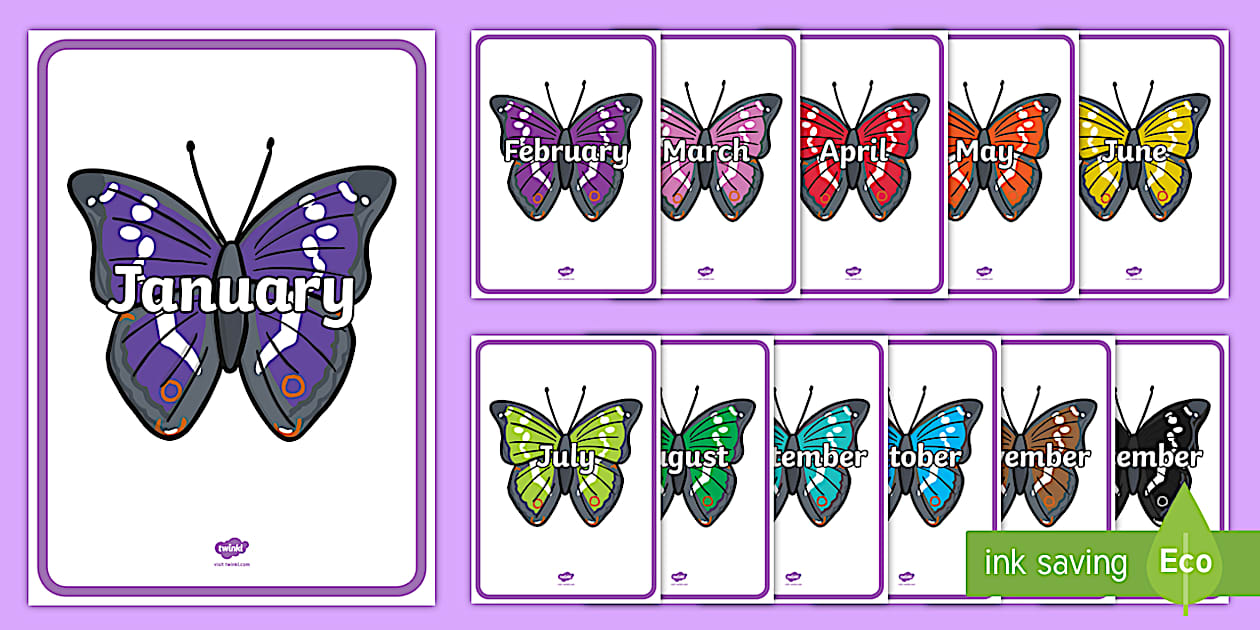 Months of the Year on Butterflies (teacher made) - Twinkl