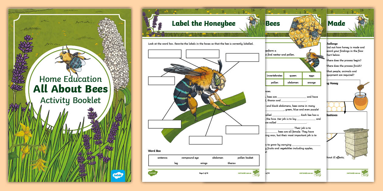 Home Education All About Bees Activity Booklet - Twinkl