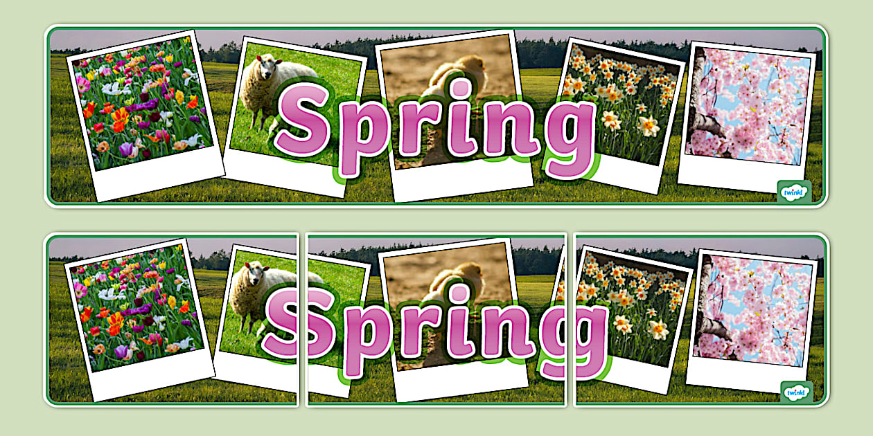 Spring Photo Display Banner (teacher made) - Twinkl