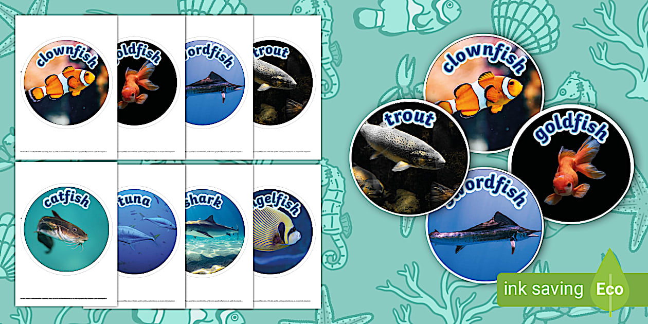 Fish Display Circle Photo Cut-Outs (teacher made) - Twinkl