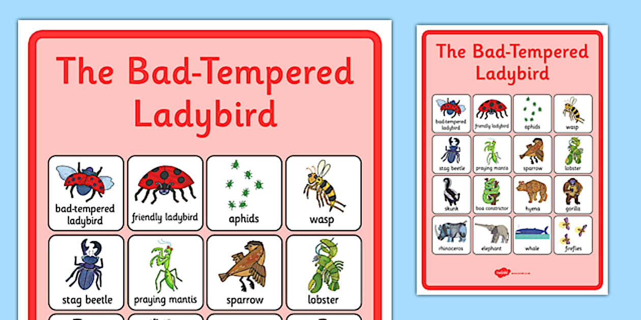 Vocabulary Poster to Support Teaching on The Bad Tempered Ladybird
