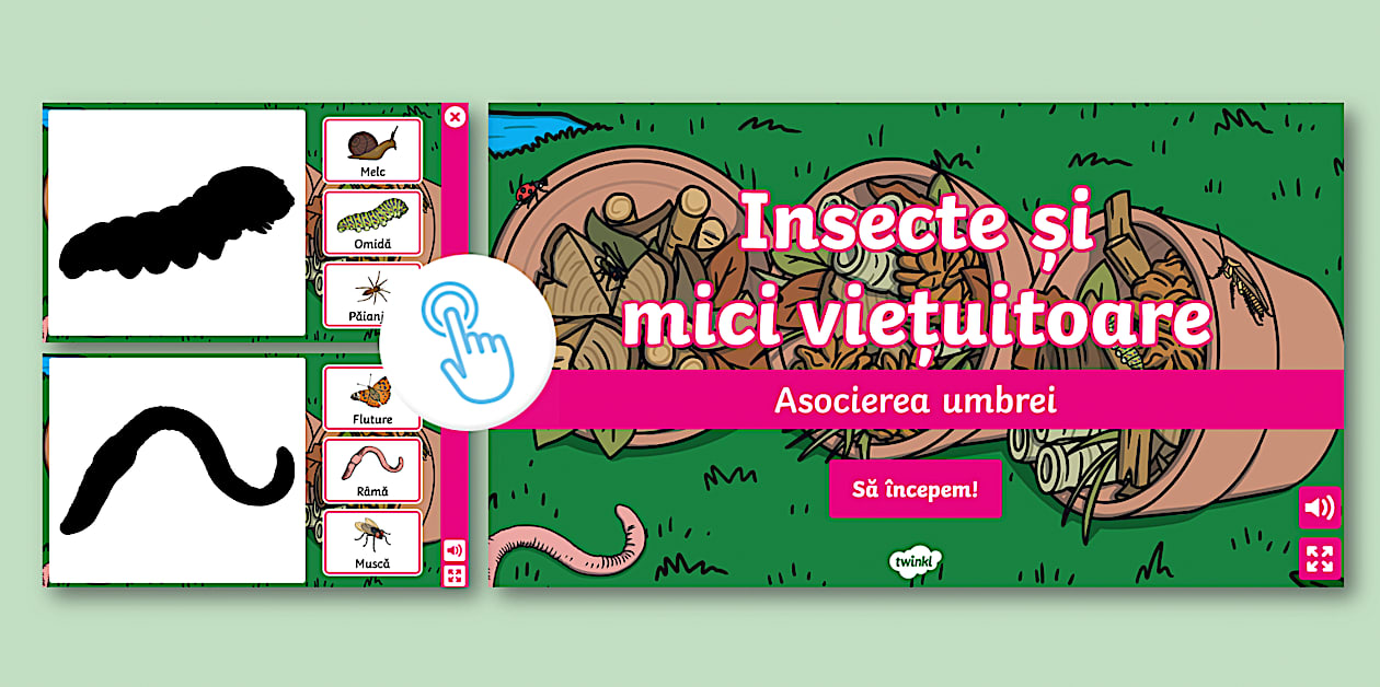 Insecte și mici viețuitoare – Joc online de asociere a umbrei