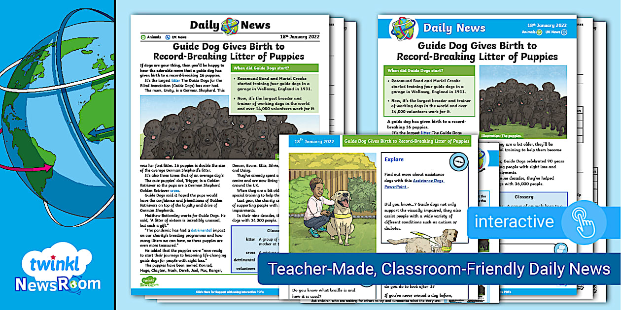 Guide Dog Has 16 Puppies - KS2 Reading Comprehension