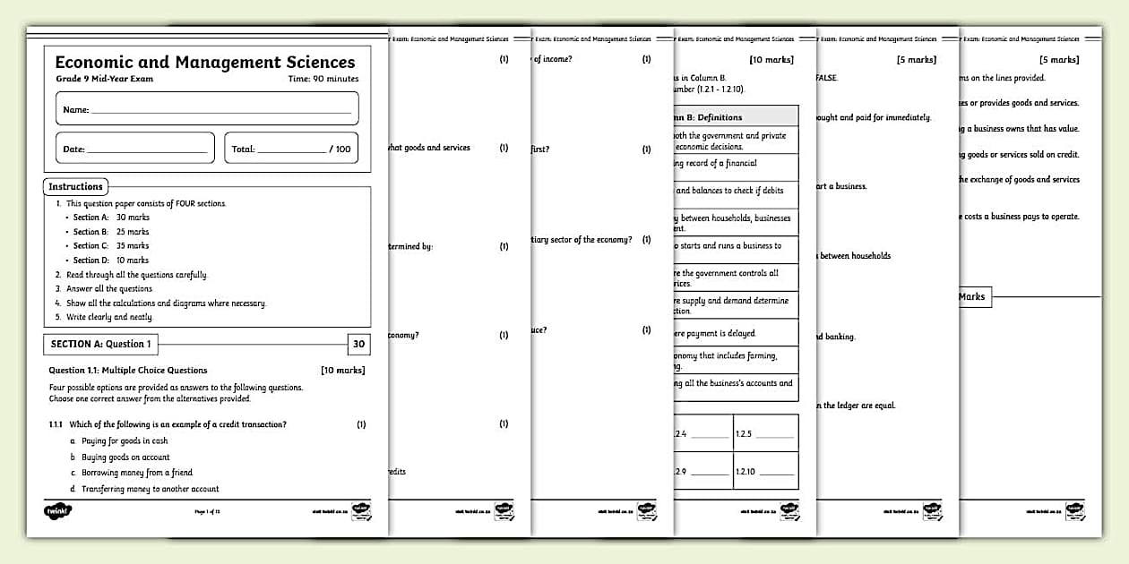 Grade 9 Mid-Year Exam: Economic and Management Sciences