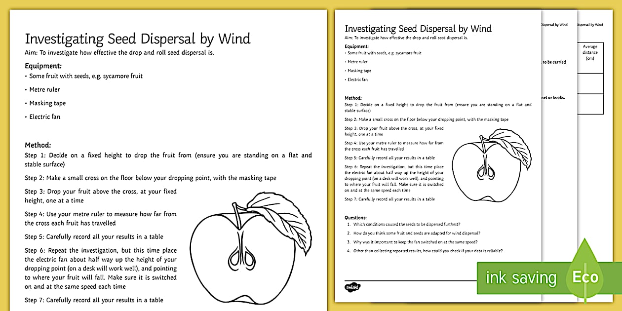 Seed Dispersal by Wind Investigation Instruction Sheet Print-Out