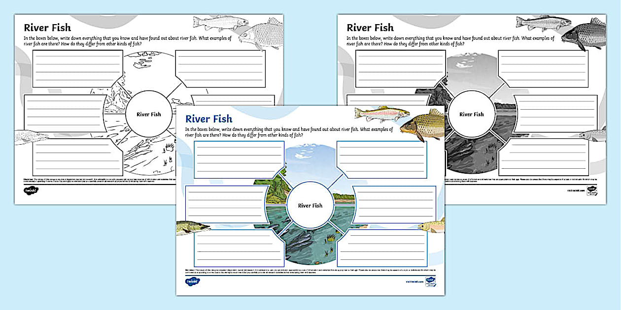 River Fish Mind Map - Twinkl Worksheets Fish - Twinkl