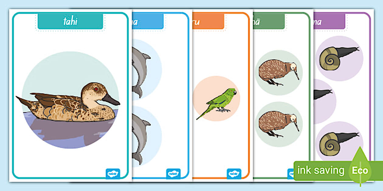 Numbers 1-10 Display Poster Te Reo Māori Animals - Twinkl