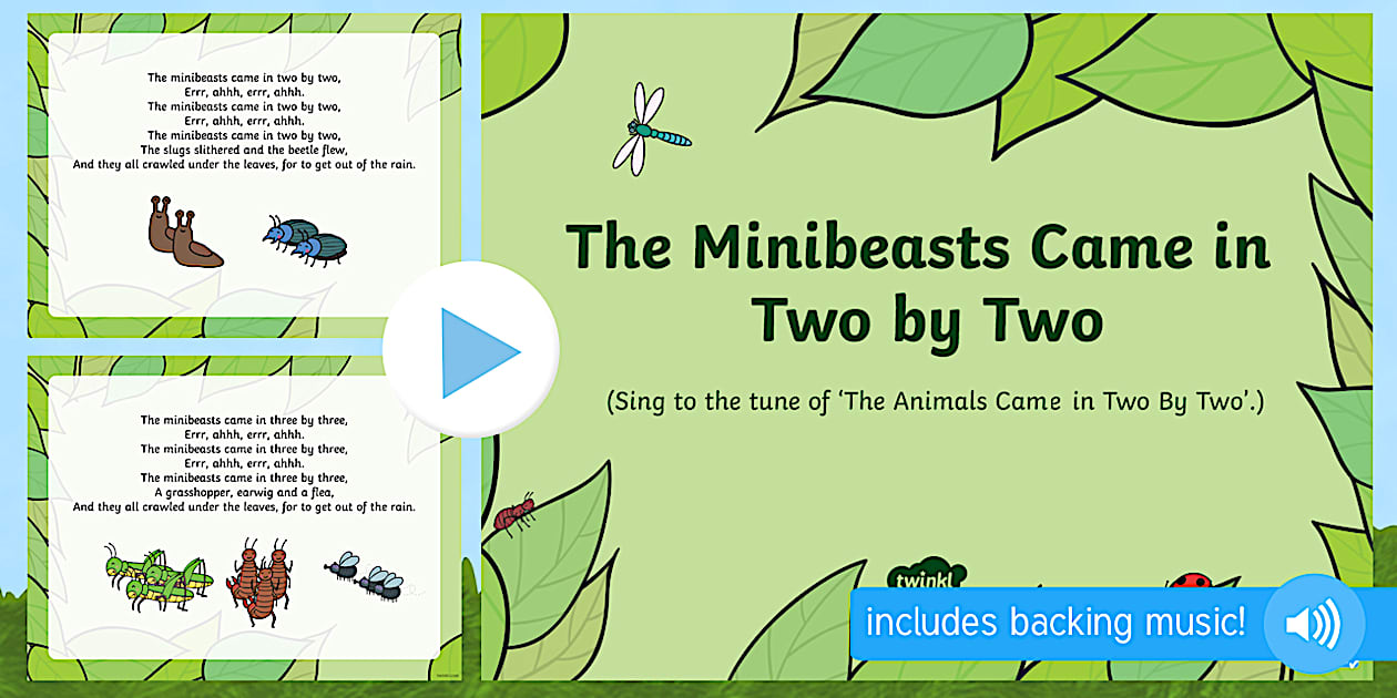 The Minibeasts Came in Two by Two Song PowerPoint - Twinkl