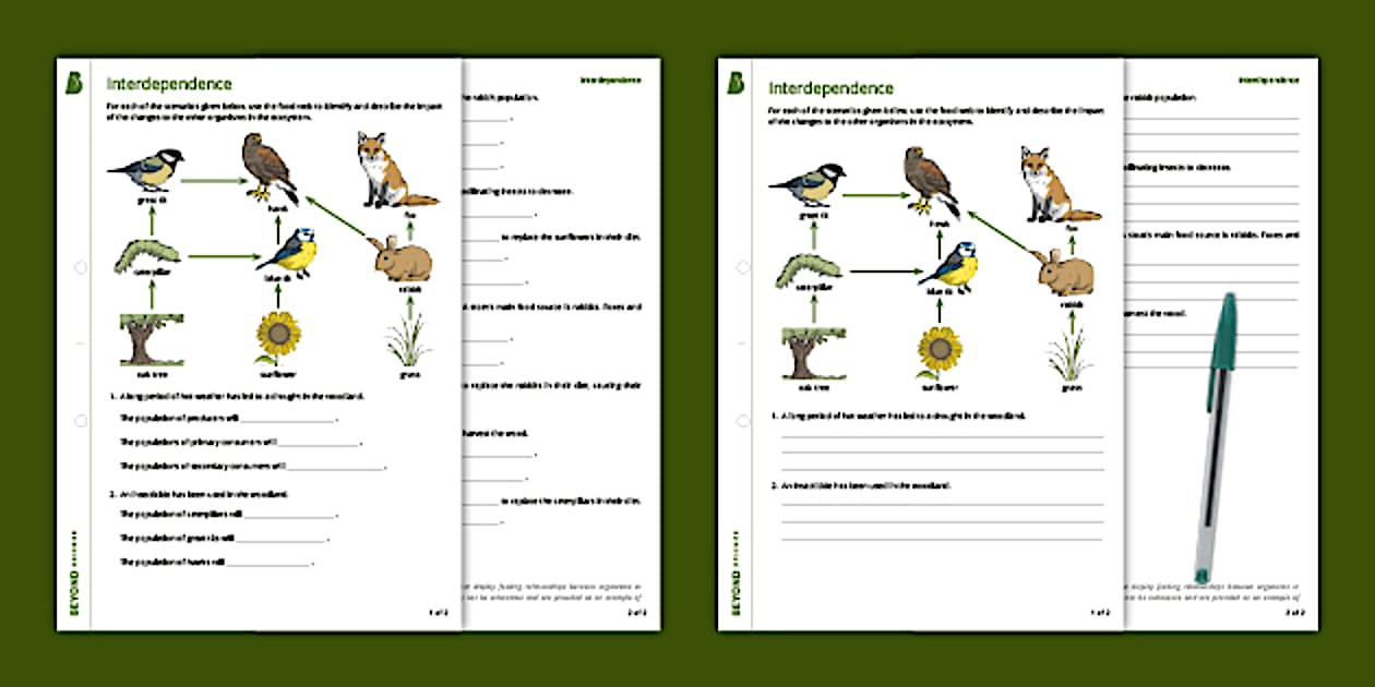 Interdependence Worksheet*To-Do*