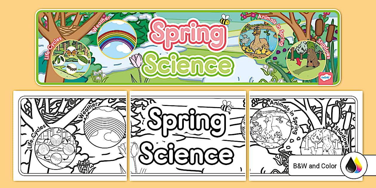 Spring Science Banner (teacher made) - Twinkl