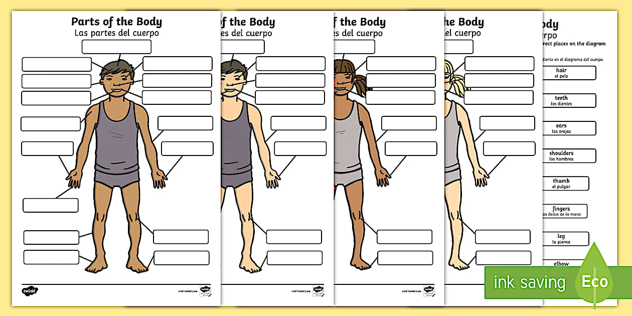 ESL Label Body Parts Worksheet In English and Spanish